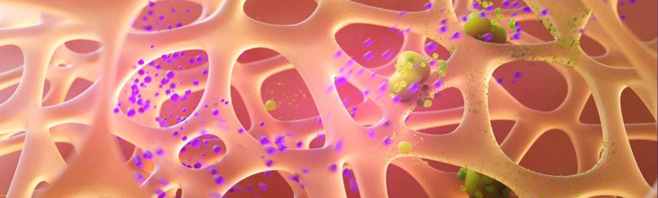 Everything for fungus free feet!